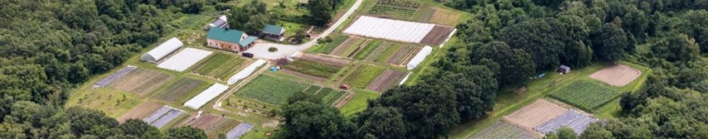 History, Mission, Vision, and Values : Gaining Ground