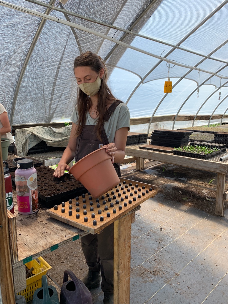 Board of Directors & Staff : Gaining Ground