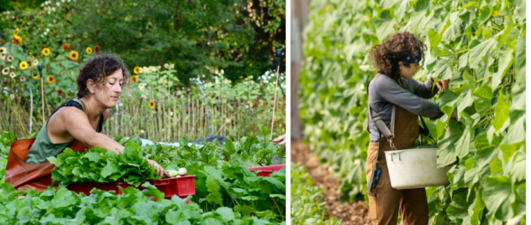Women Who Farm: The Joys—and Challenges—of Farming as a Woman : Gaining ...
