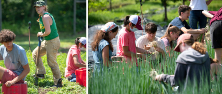 The 2022 High School Farm Team: Growing More Than Food in Our Fields ...