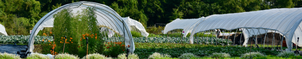 Gratitude Reports and Financial Statements : Gaining Ground