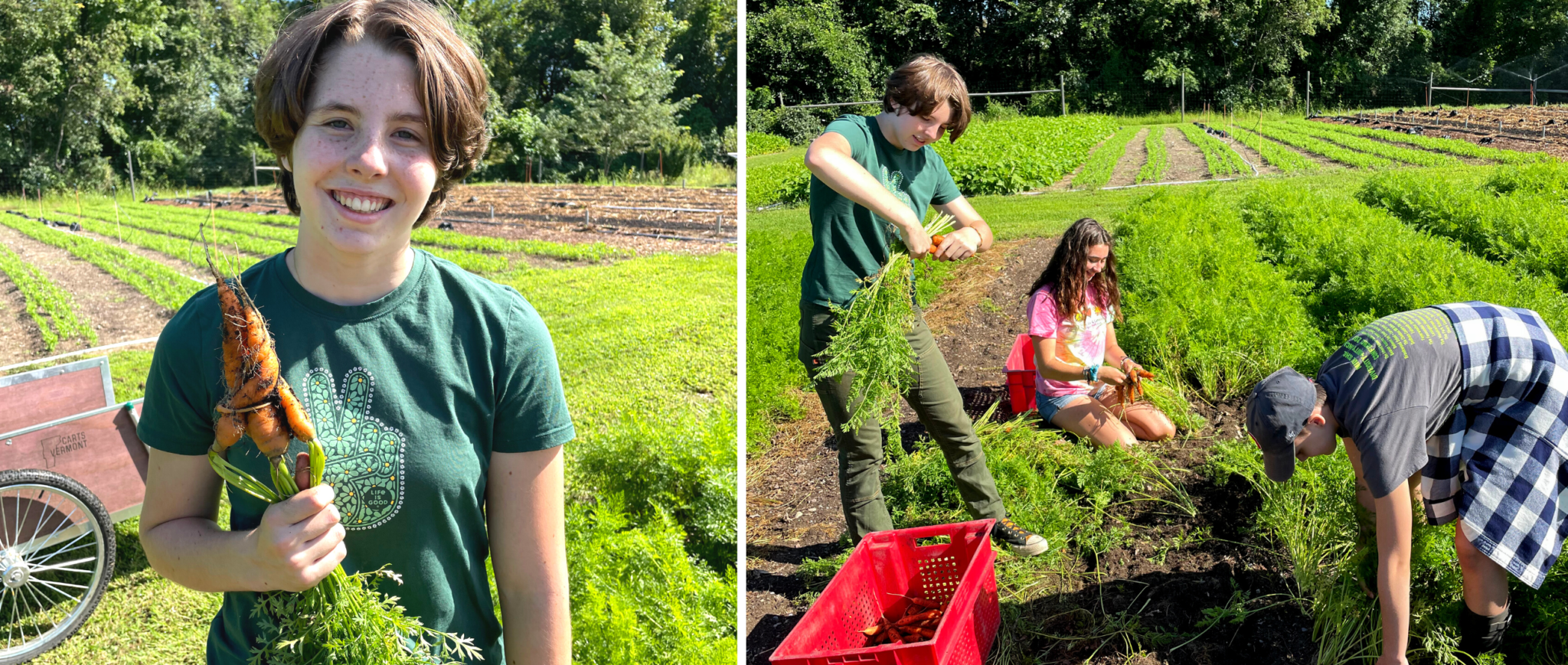 Digging Into Summer Break with the High School Farm Team : Gaining Ground