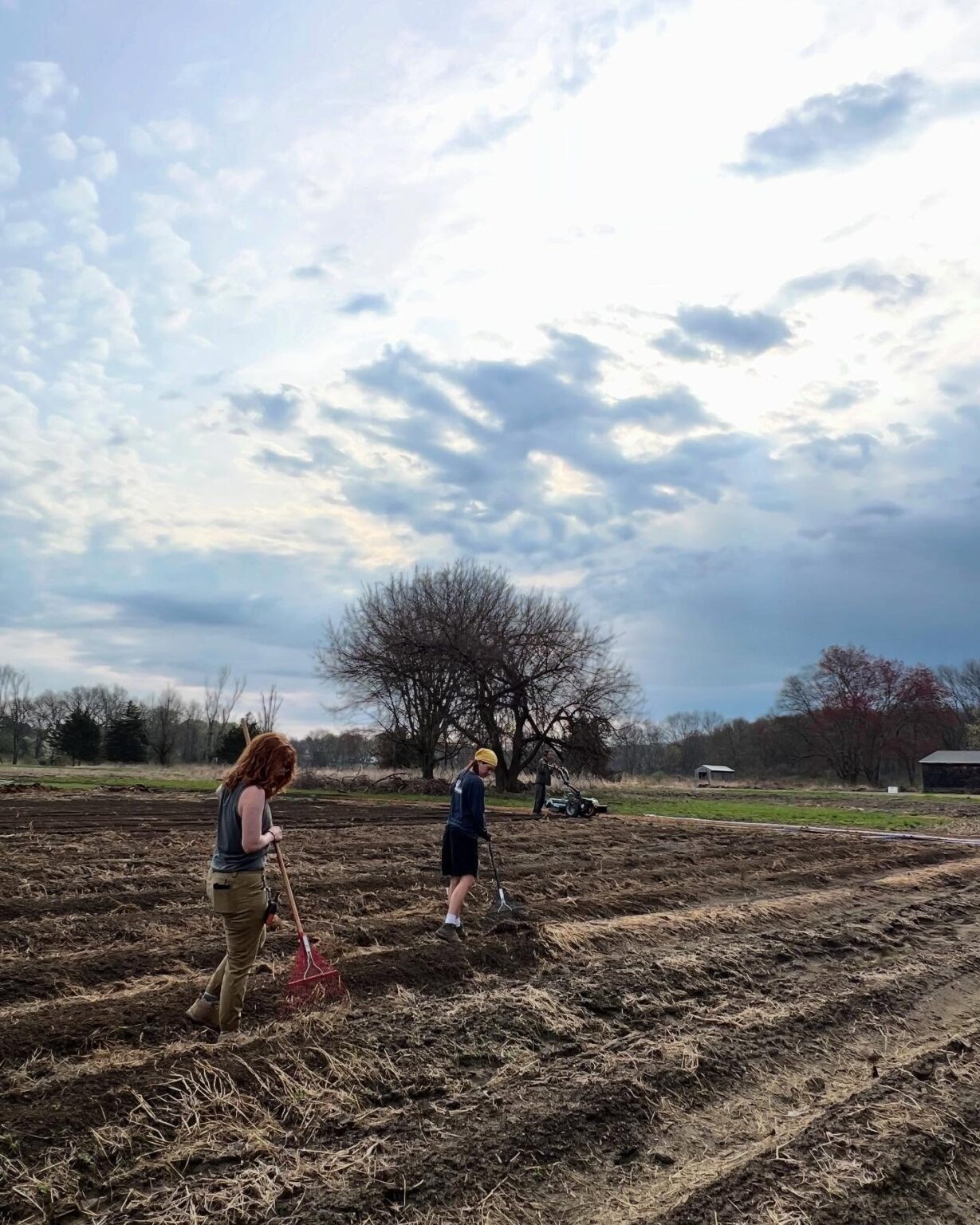 Why Gaining Ground Plants Cover Crops : Gaining Ground