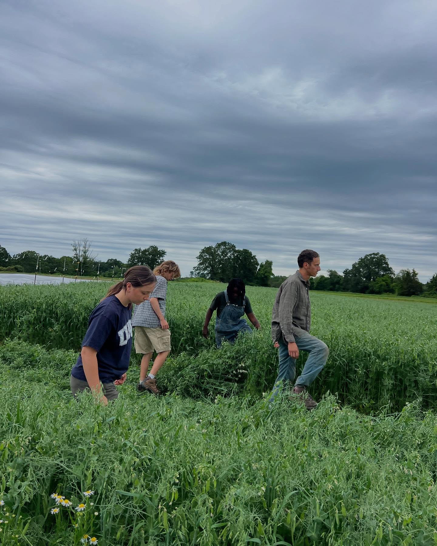 Inside Gaining Ground’s New Internship Program : Gaining Ground